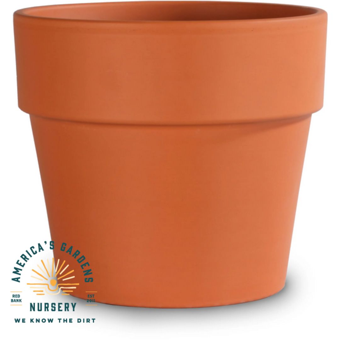 Calima Red Standard Clay Pot – America's Gardens Nursery