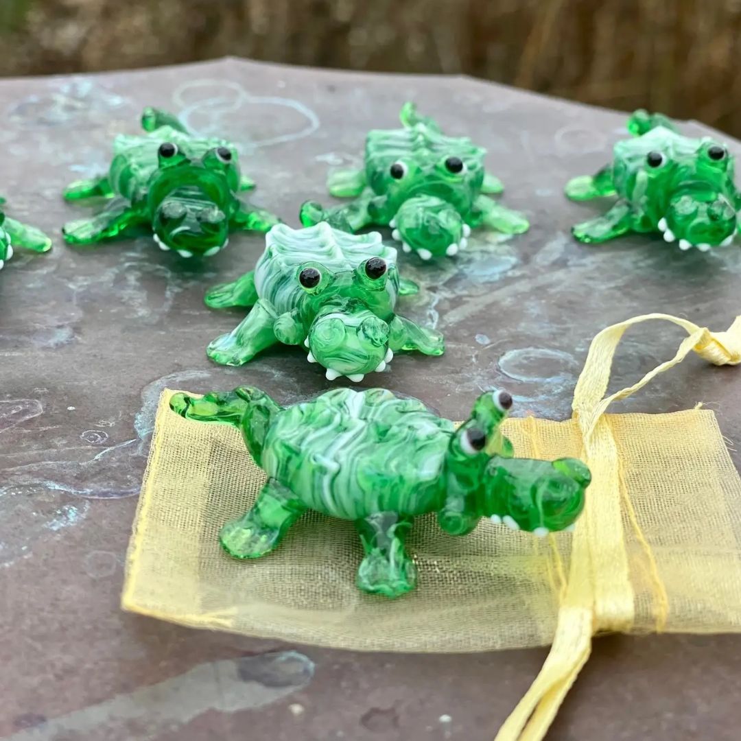 Miniature Alligator Crocodile – America's Gardens Nursery