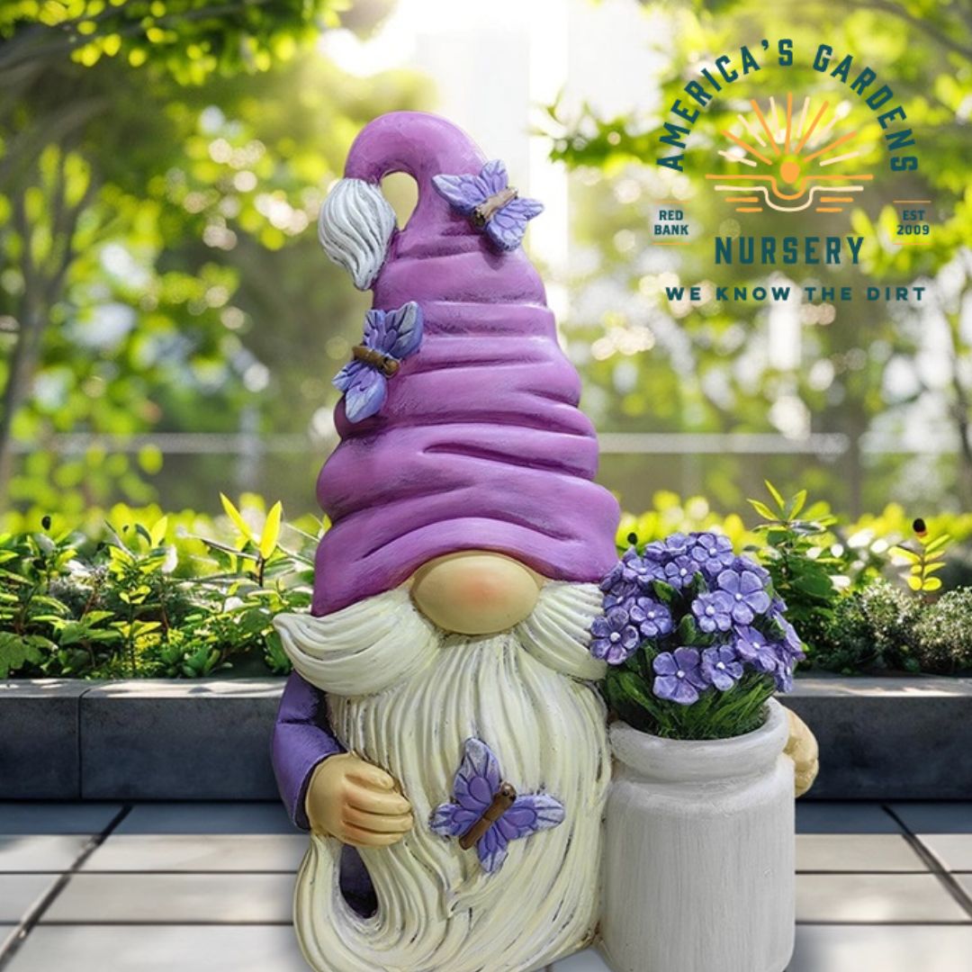 Lavender Gnome Figurine – America's Gardens Nursery