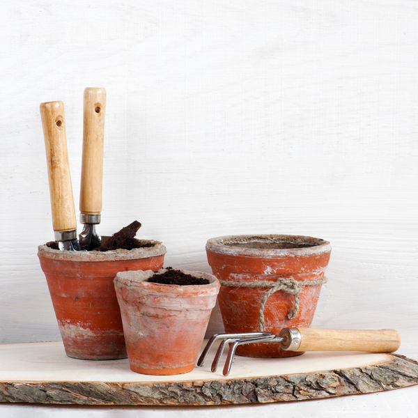 America's Gardens Nursery