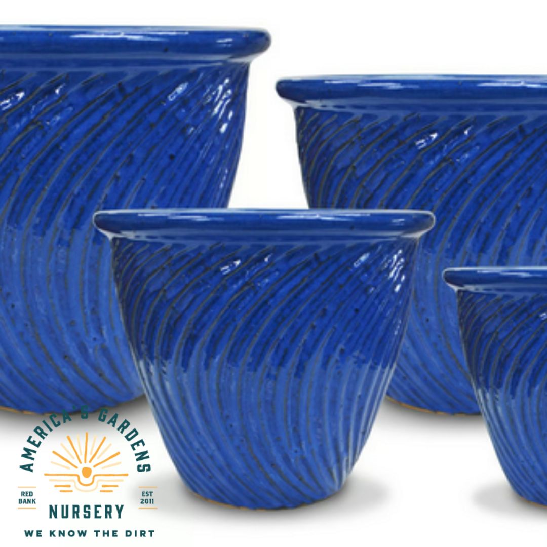 Wave Ipoh Pots – America's Gardens Nursery