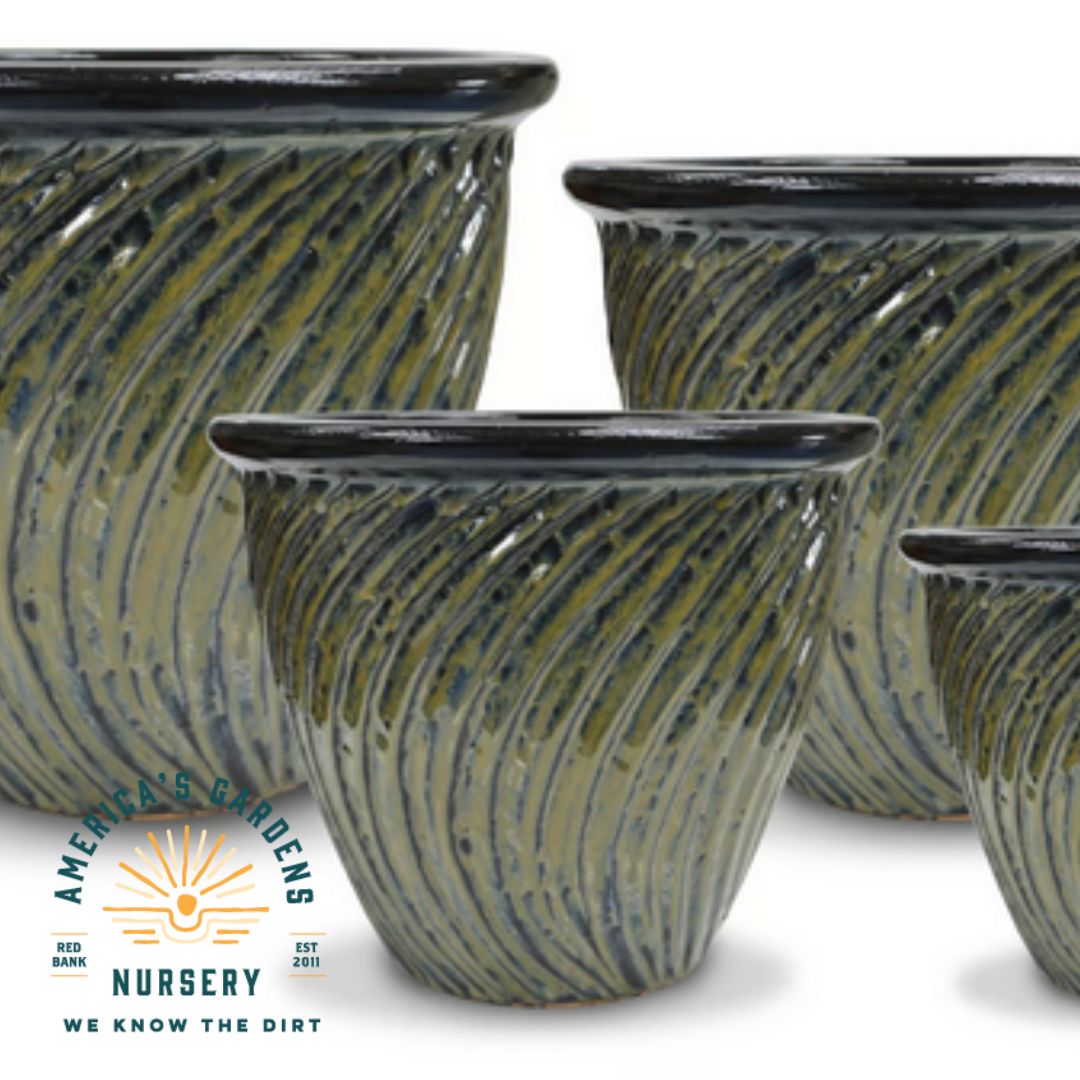 Wave Ipoh Pots | America's Gardens Nursery