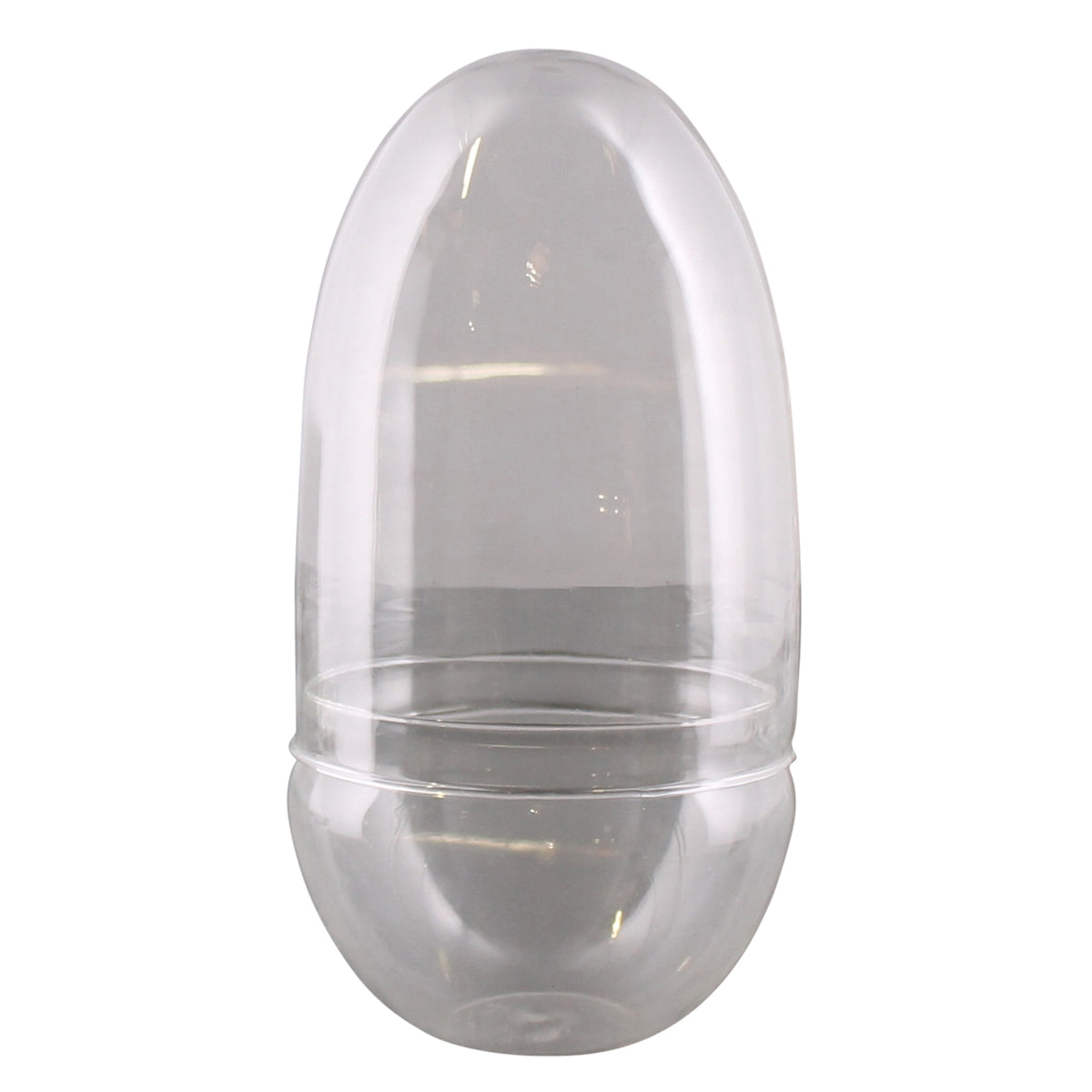 Oval Glass Sole Terrarium – America's Gardens Nursery